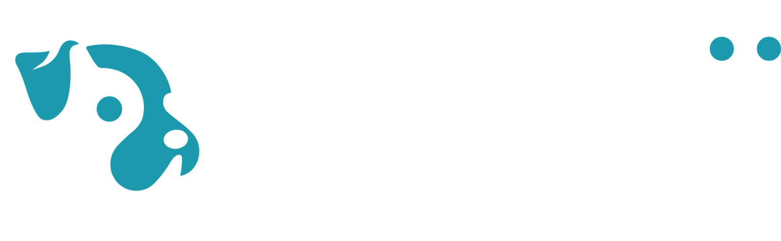 Benji | Hansei Solutions