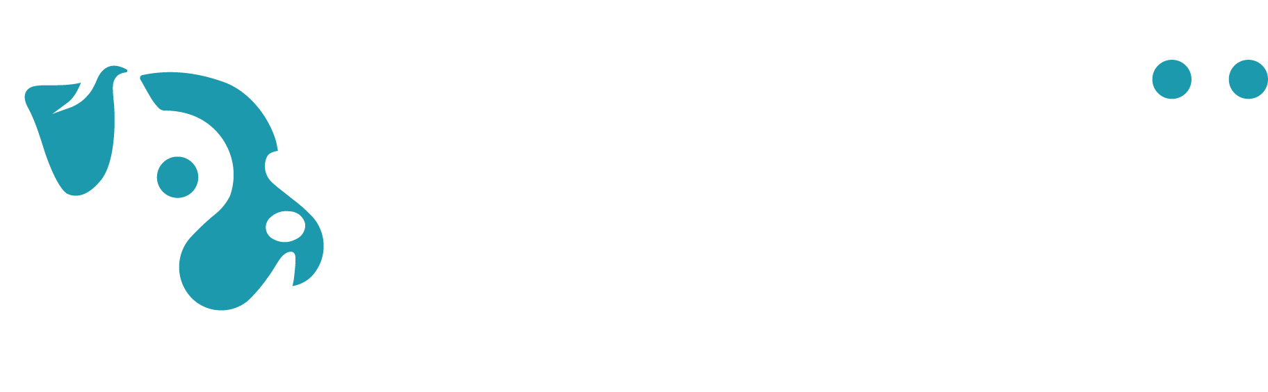 Benji | Hansei Solutions